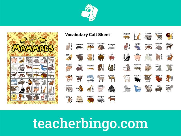 Animal Bingo (mammals) 6x6 (100 pages + call sheet) | Teaching Resources