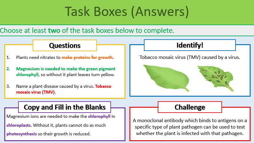 Plant Diseases and Defences Lesson GCSE Biology | Teaching Resources