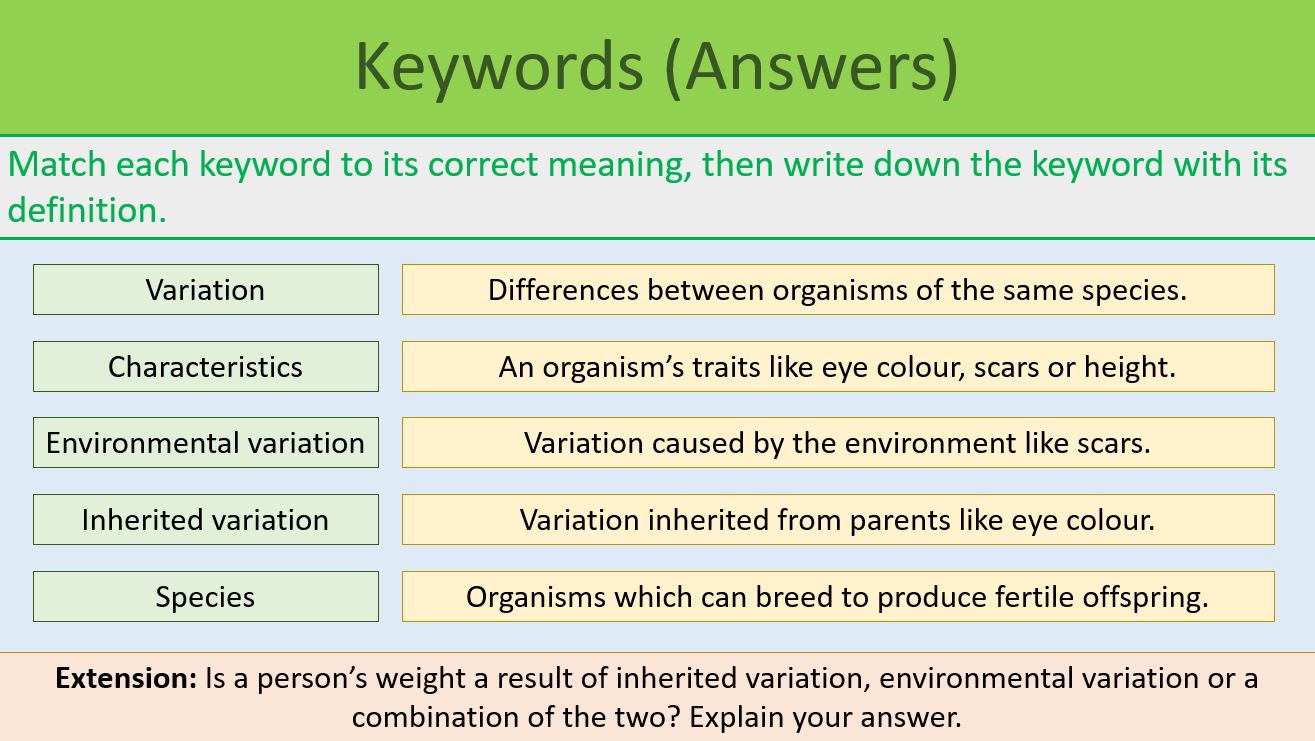 Variation ~ KS3 ~ Year 8 | Teaching Resources