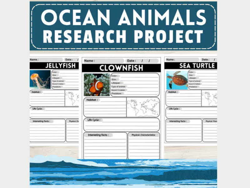Ocean Animal Research Project Templates | End Of Year Summer Report ...