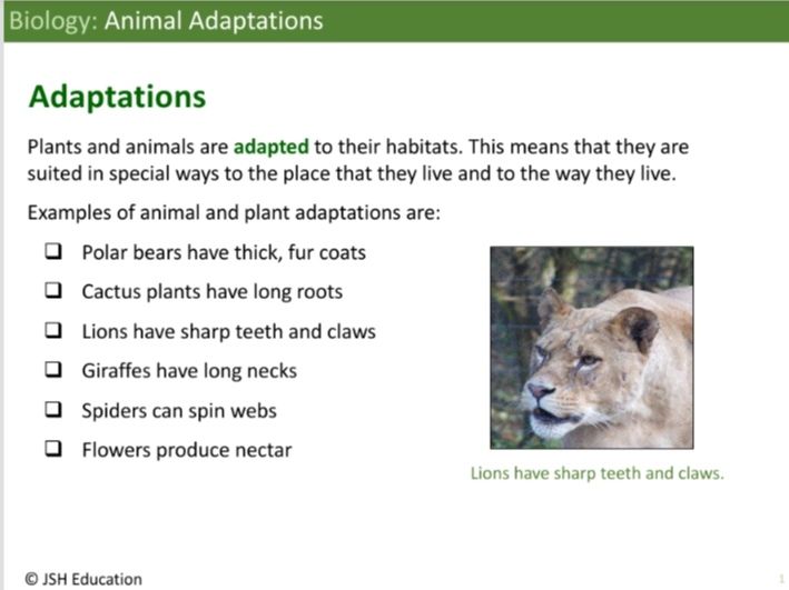 KS3 Biology: Animal Adaptations | Teaching Resources
