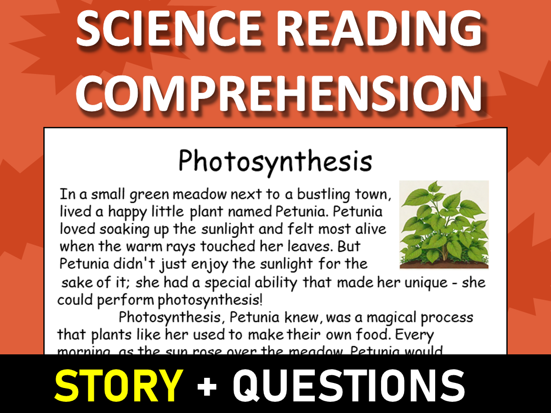 Photosynthesis Reading Science Story Comprehension Questions Worksheet ...