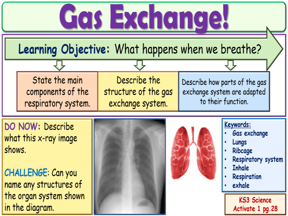 Secondary Biology Resources: Biology Lessons for KS3, KS4, GCSE | Tes