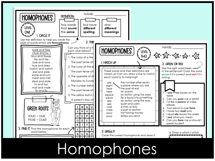 Fun Homophones Worksheets Printable and Digital Slides | Teaching Resources