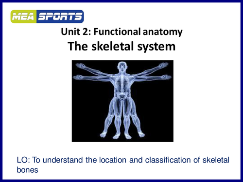 Unit 2 BTEC L3 Sport & Exercise Science - Skeletal System Unit ...