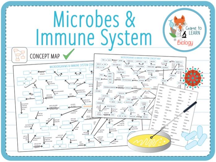 Microbes and Immunity - Concept map (KS3/4) | Teaching Resources
