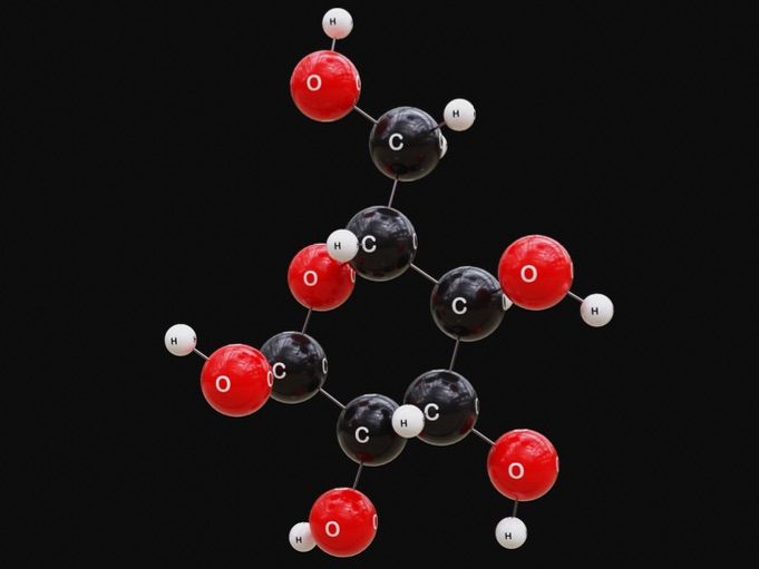 B1.1 Carbohydrates and Lipids | Teaching Resources