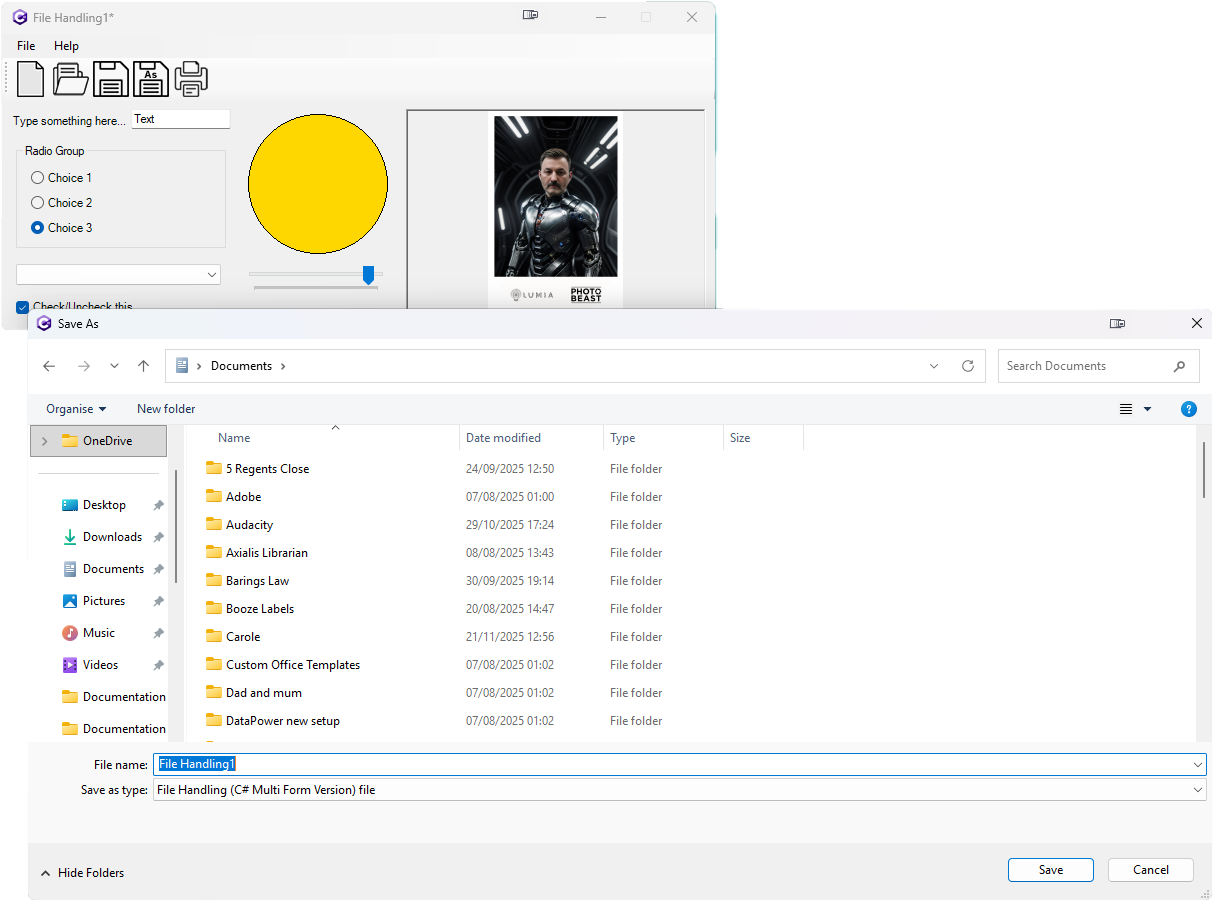 File Handling (C# Multi Form Version) | Teaching Resources