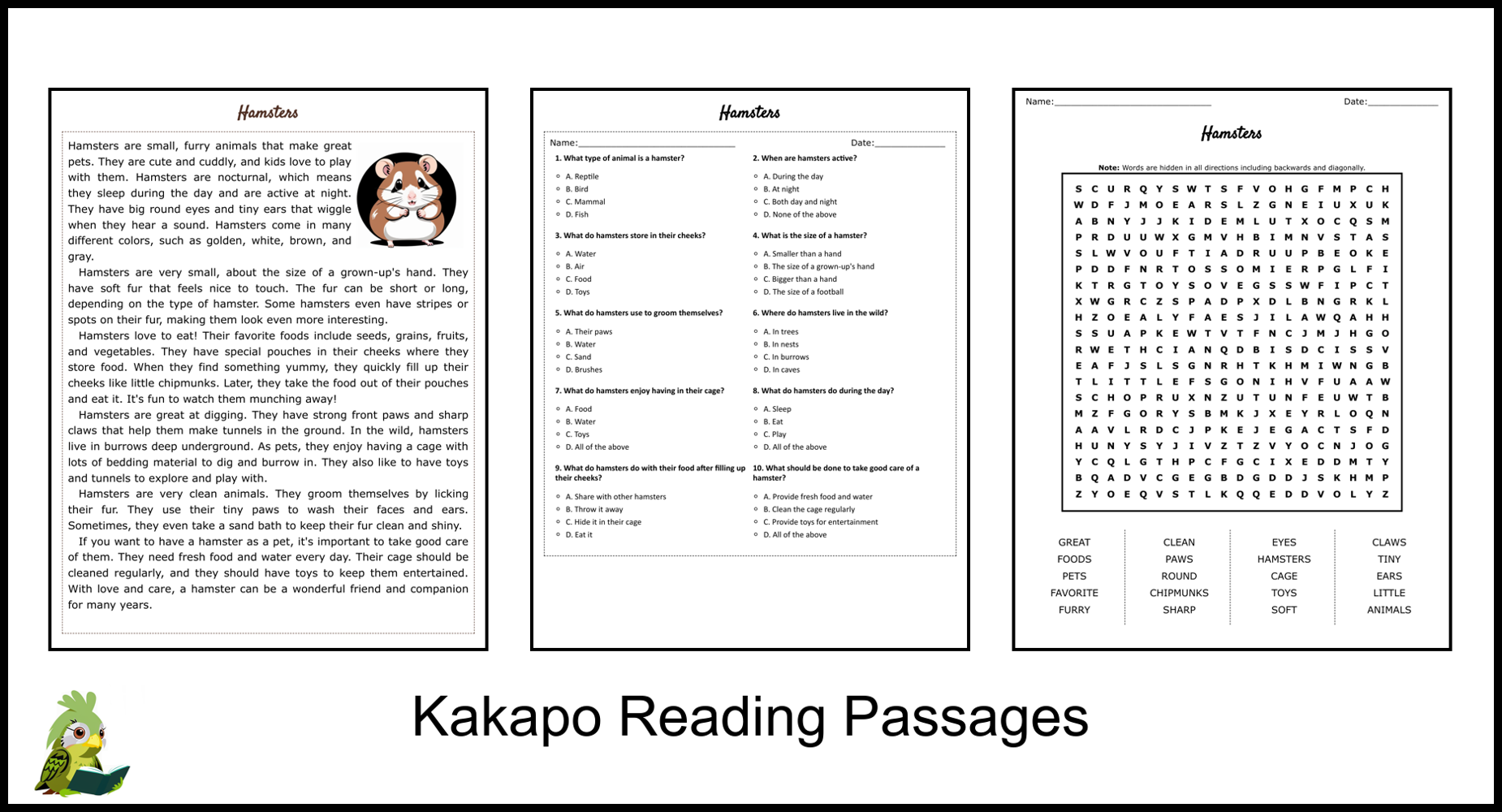 Hamsters Reading Comprehension and Word Search | Teaching Resources