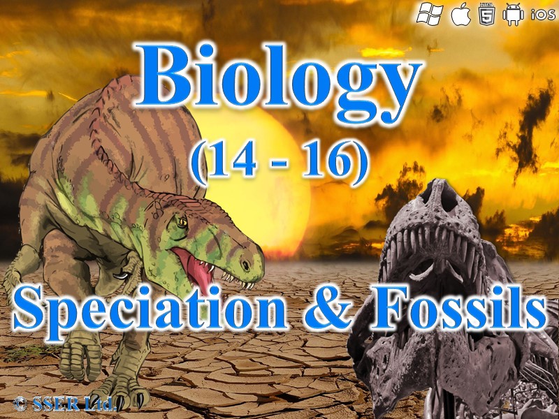 Bio6 13 Speciation And Fossil Record Teaching Resources
