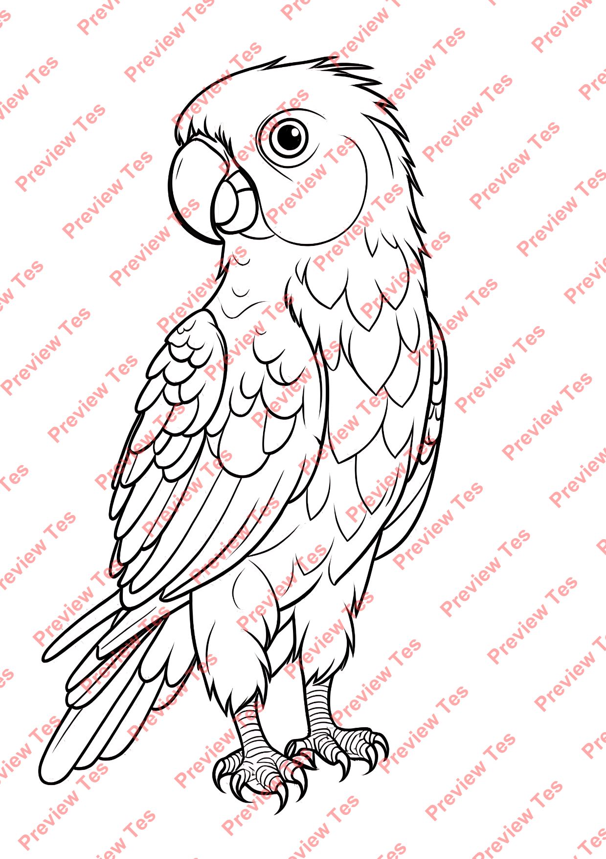 Parrot Colouring Pages | Tropical Bird Worksheets | Macaw & Cockatoo ...