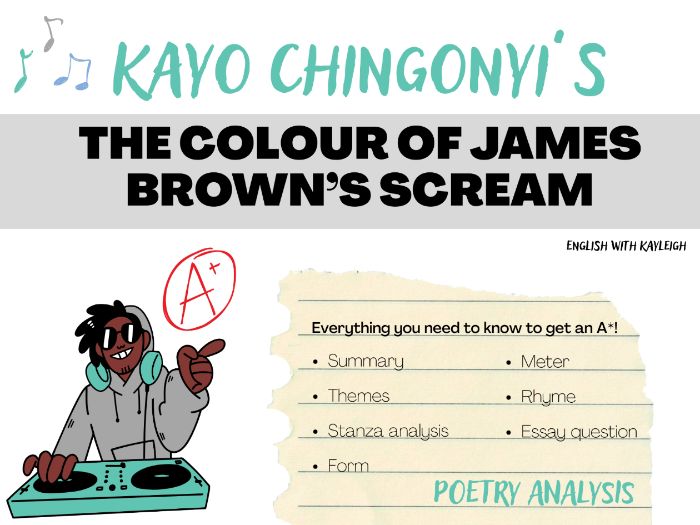 The Colour of James Brown's Scream PPT | Annotated Poem | Kayo ...