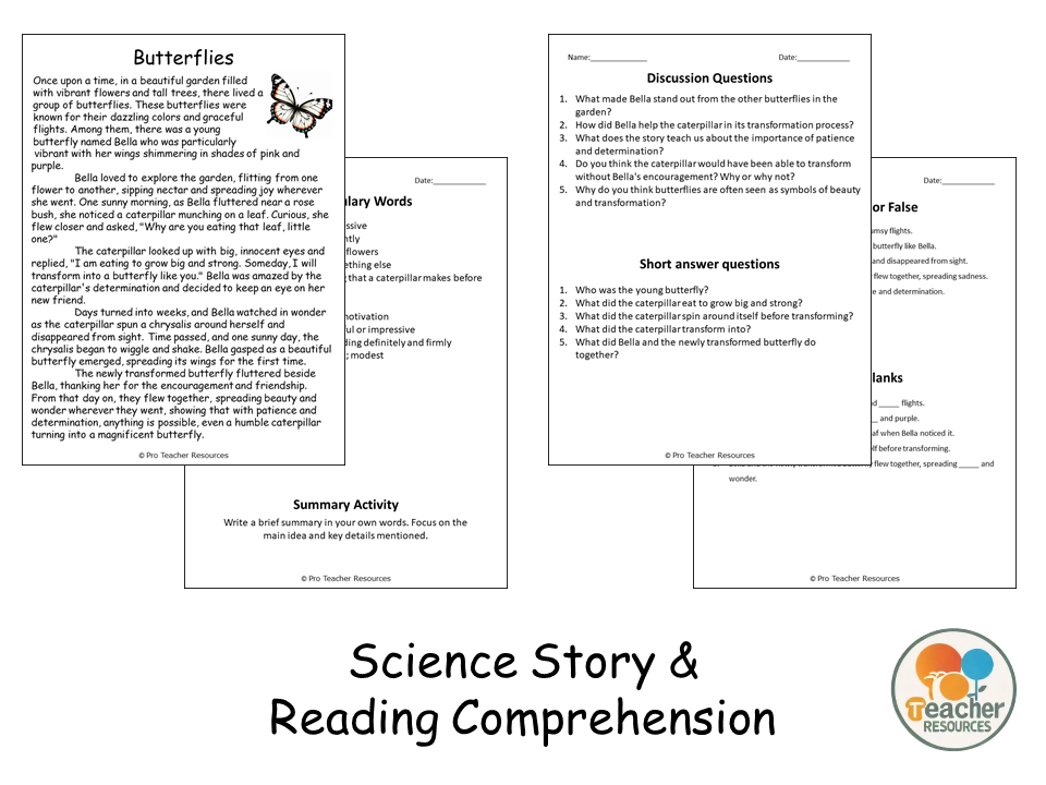 Butterflies Reading Science Story Comprehension Questions Worksheet ...