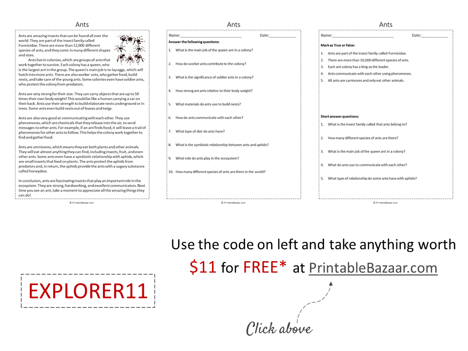 Ants Reading Comprehension Passage Printable Worksheet | Teaching Resources