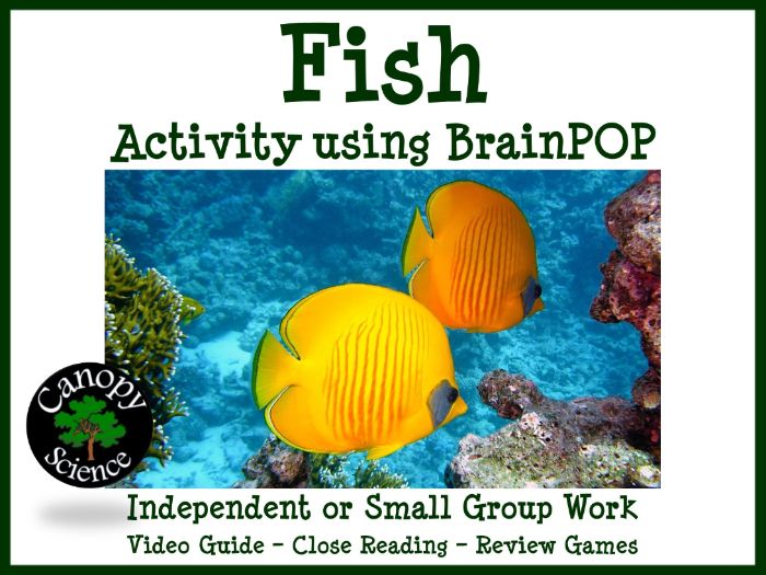 Secondary animals and pets resources