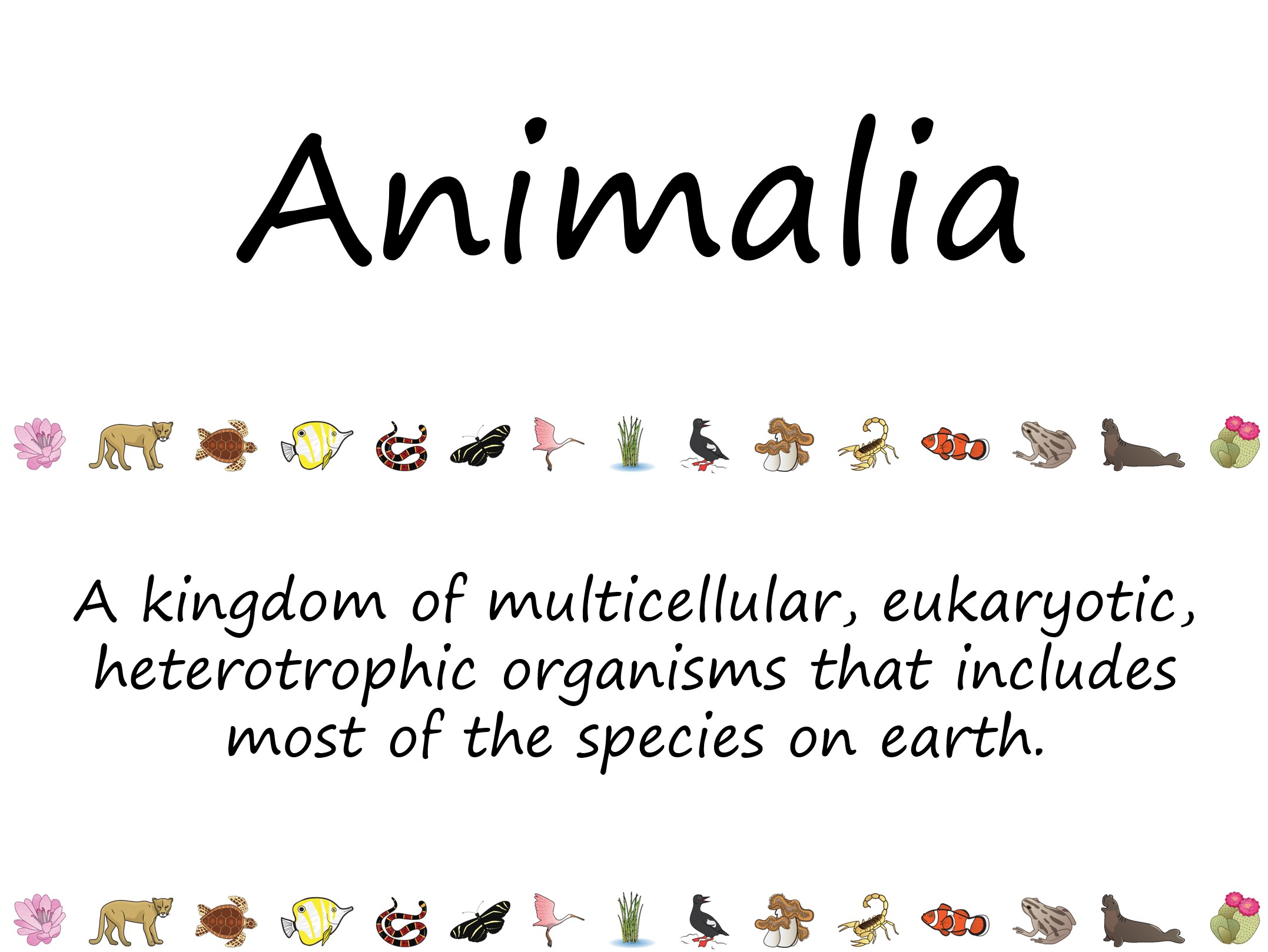 Taxonomy Word Wall Vocabulary Cards | Teaching Resources