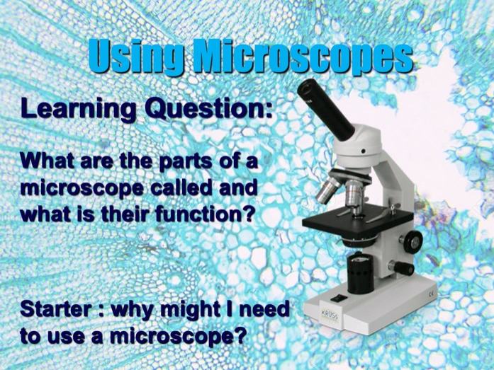 Microscopes | Teaching Resources