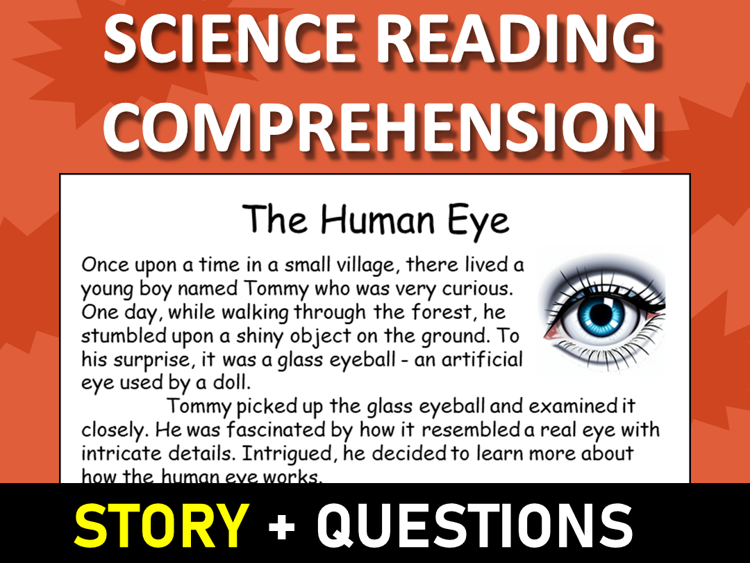 The Human Eye Reading Science Story Comprehension Questions Worksheet ...
