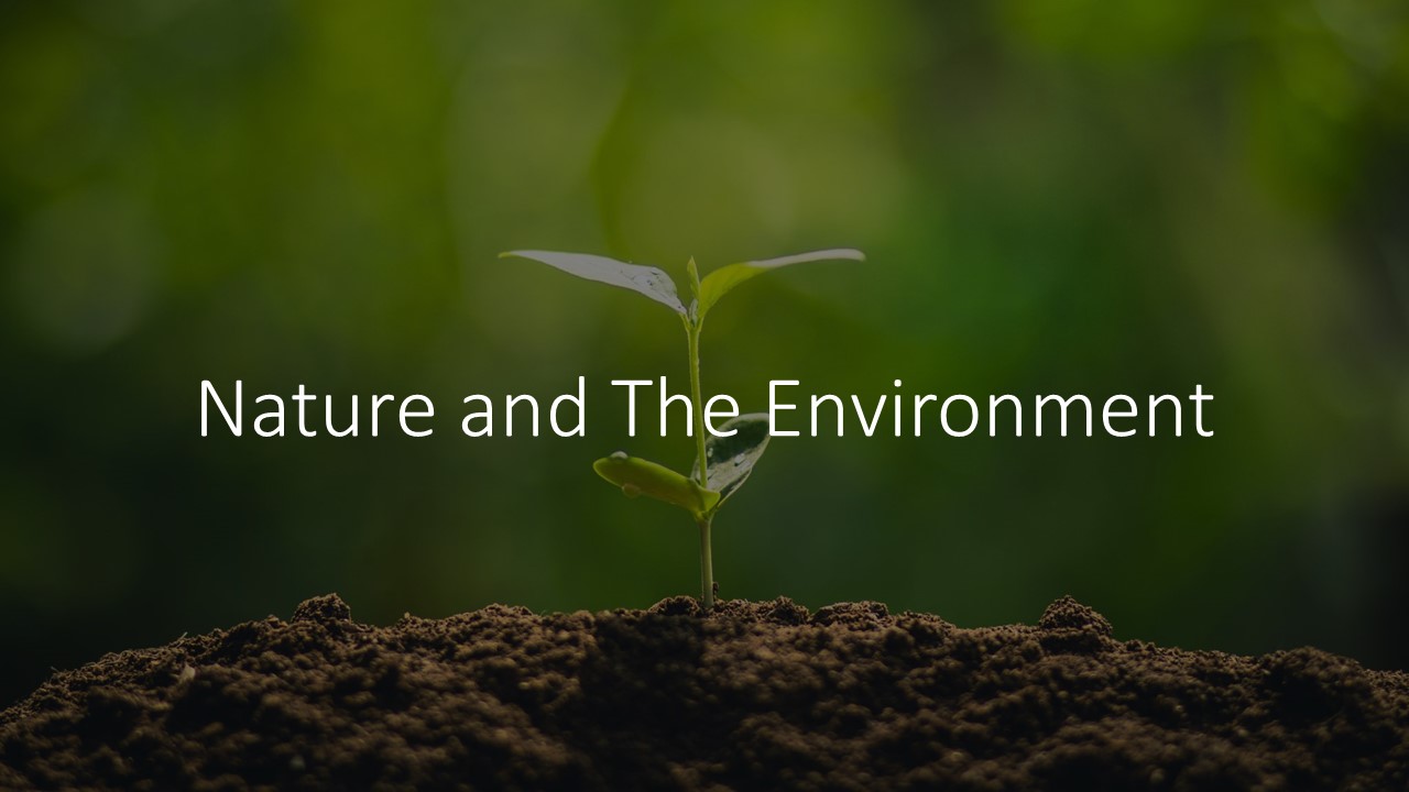 Nature & the Environment Thematic Vocabulary | Teaching Resources