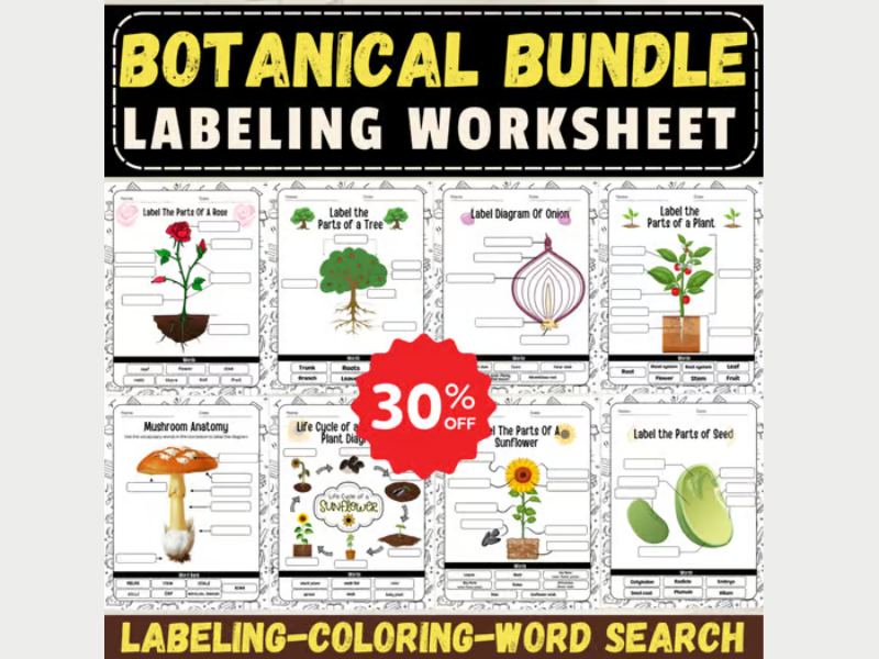 Botanical Labeling Worksheet Bundle: Back to School Activities ...