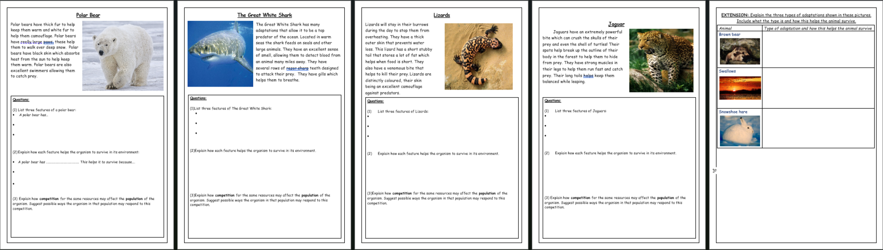 Competition, Adaptation and Food Chains AQA GCSE (9-1) Biology ...