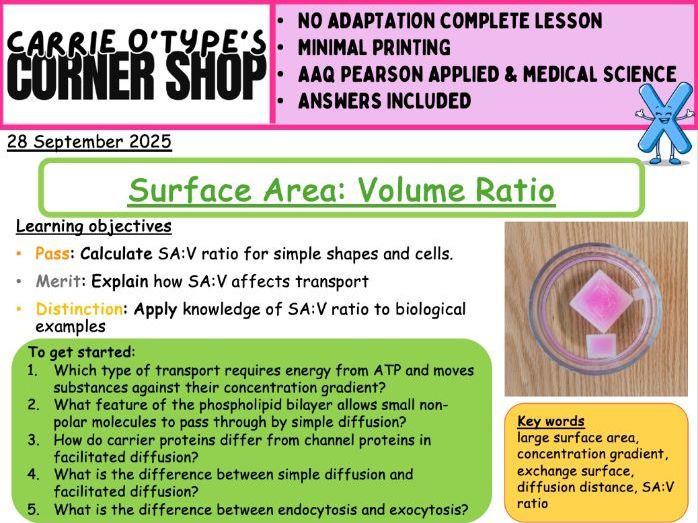 SA:V Ratio - AAQ Pearson Applied / Medical Science | Teaching Resources