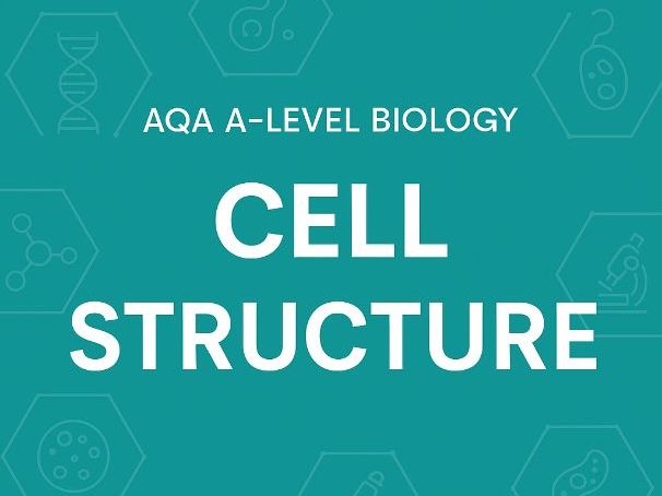 A level Biology: Cell Structure Activity Pack | Teaching Resources