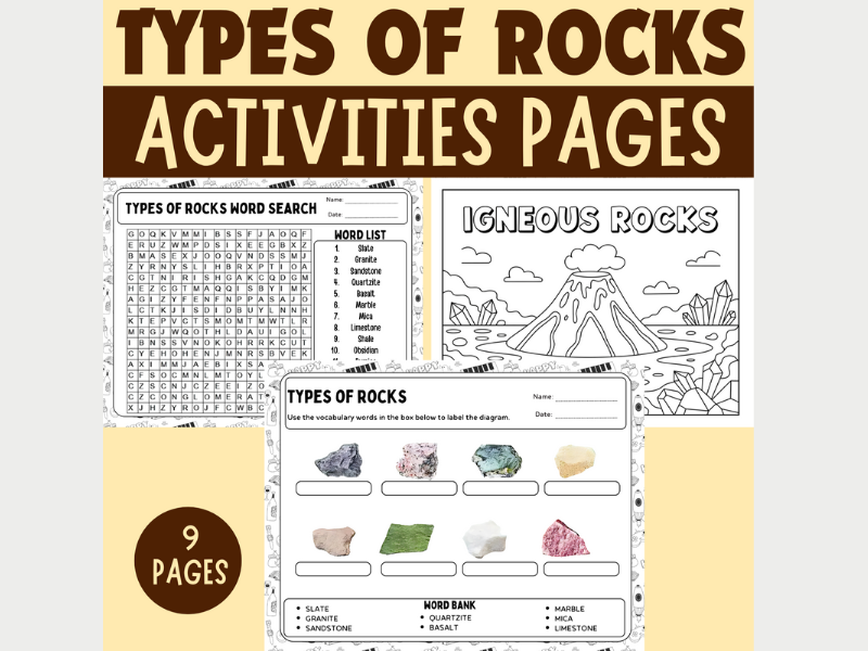 Types of Rocks Worksheet: Structure Diagram, Vocabulary Puzzle ...