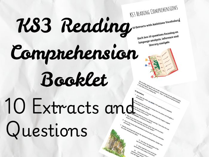 KS3 Reading Comprehensions - 10 Extracts with Questions | Teaching ...
