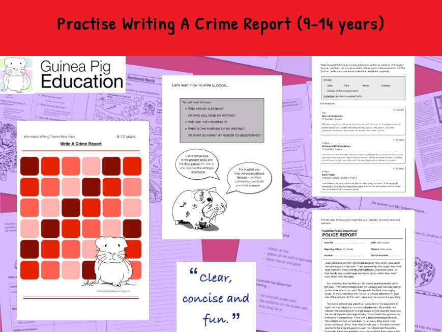 Guinea Pig Education - Teaching Resources - TES