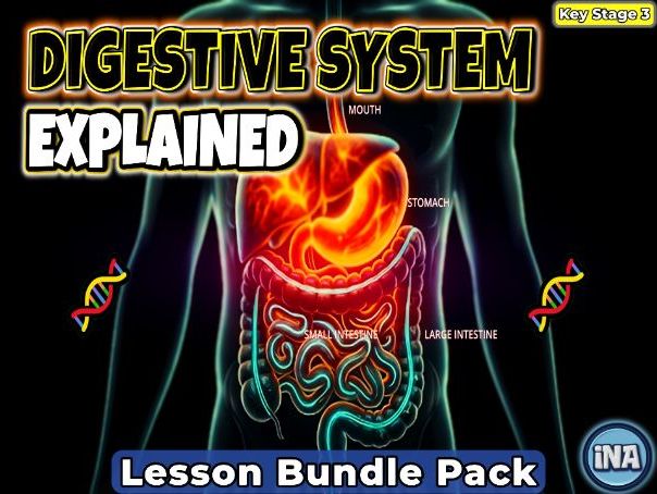 The Human Digestive System - Complete KS3 Biology Lesson Pack ...
