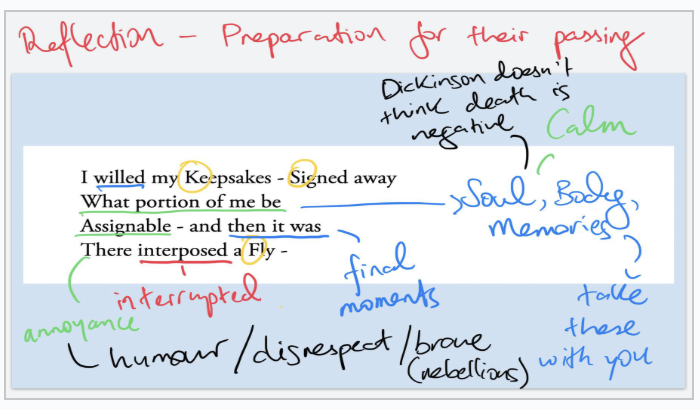 A Selection of LC OL 2025 Poems | Teaching Resources