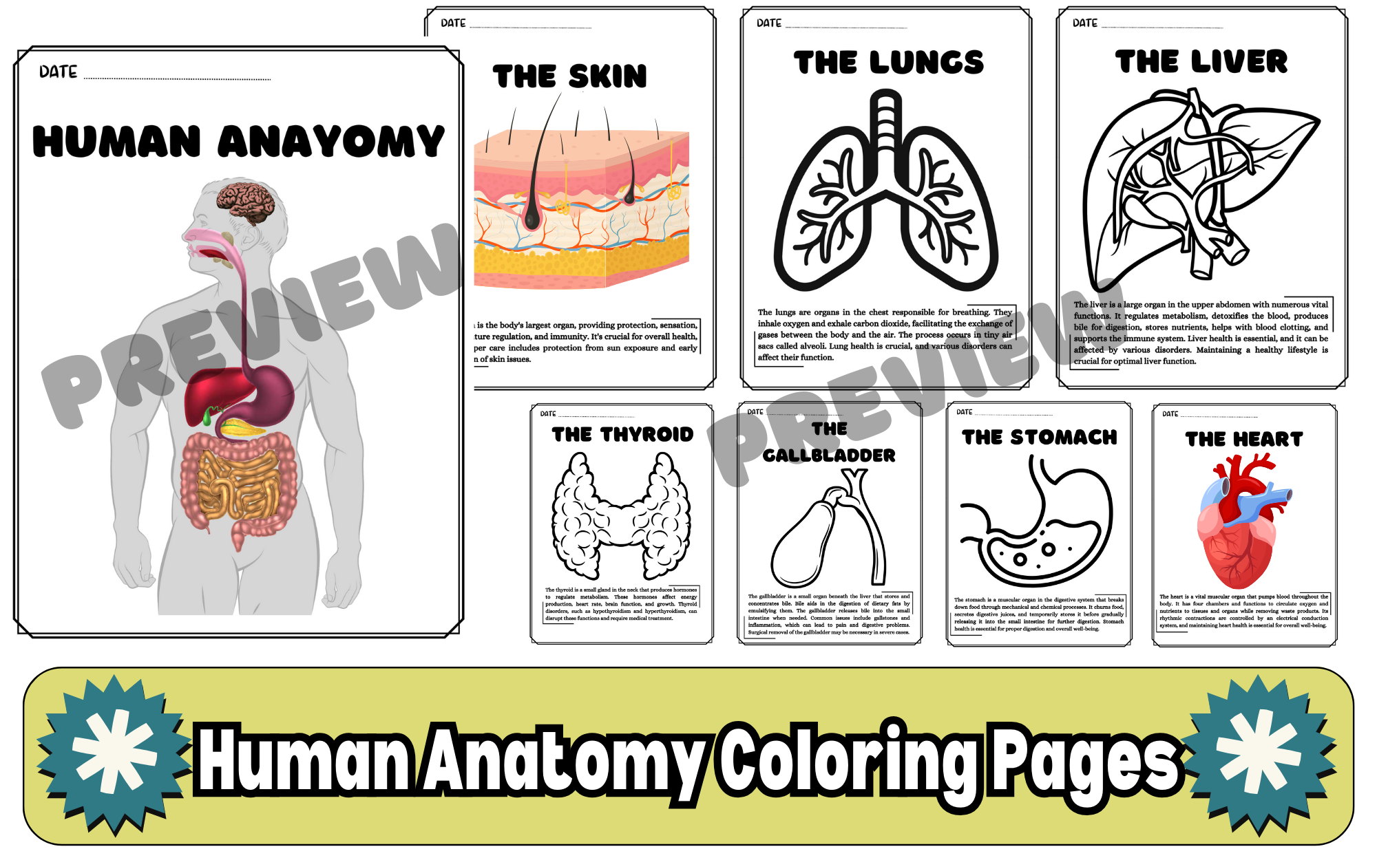 Human anatomy coloring pages for kids-Body Systems Worksheets,Organs ...