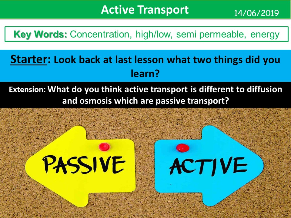 Active Transport | Teaching Resources