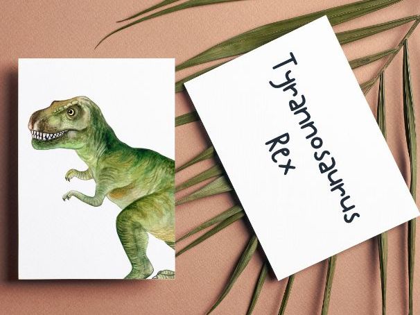 Dinosaur Flashcards | Visual Resource | Teaching Resources