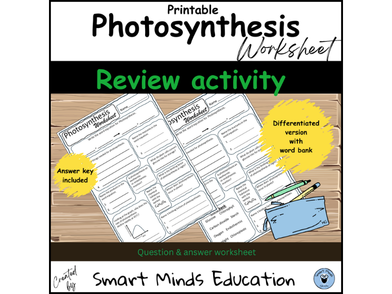PHOTOSYNTHESIS REVIEW ACTIVITY WORKSHEET | Teaching Resources