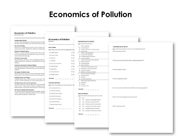 Economics of Pollution | Teaching Resources
