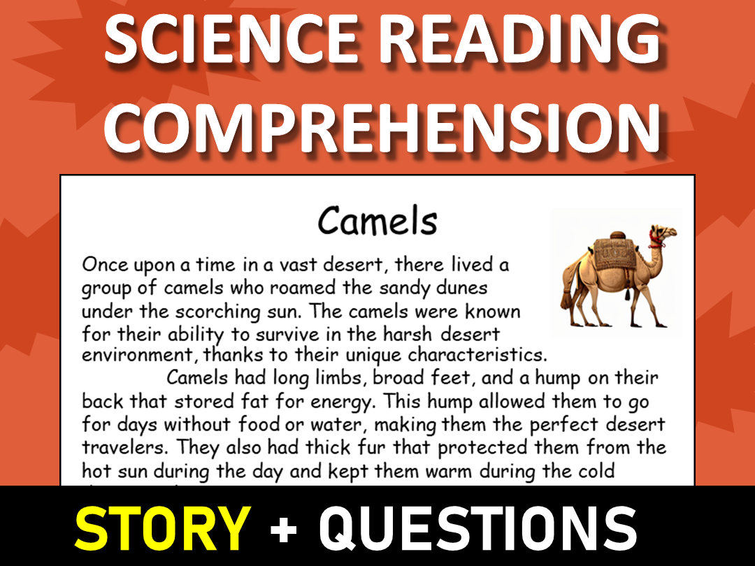 Camels Reading Science Story Comprehension Questions Worksheet ...