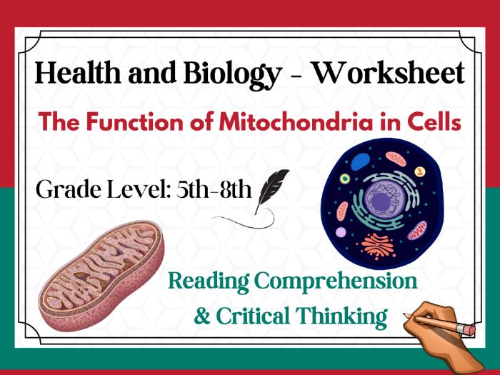 The Function of Mitochondria in Cells: Reading Comprehension Passages ...