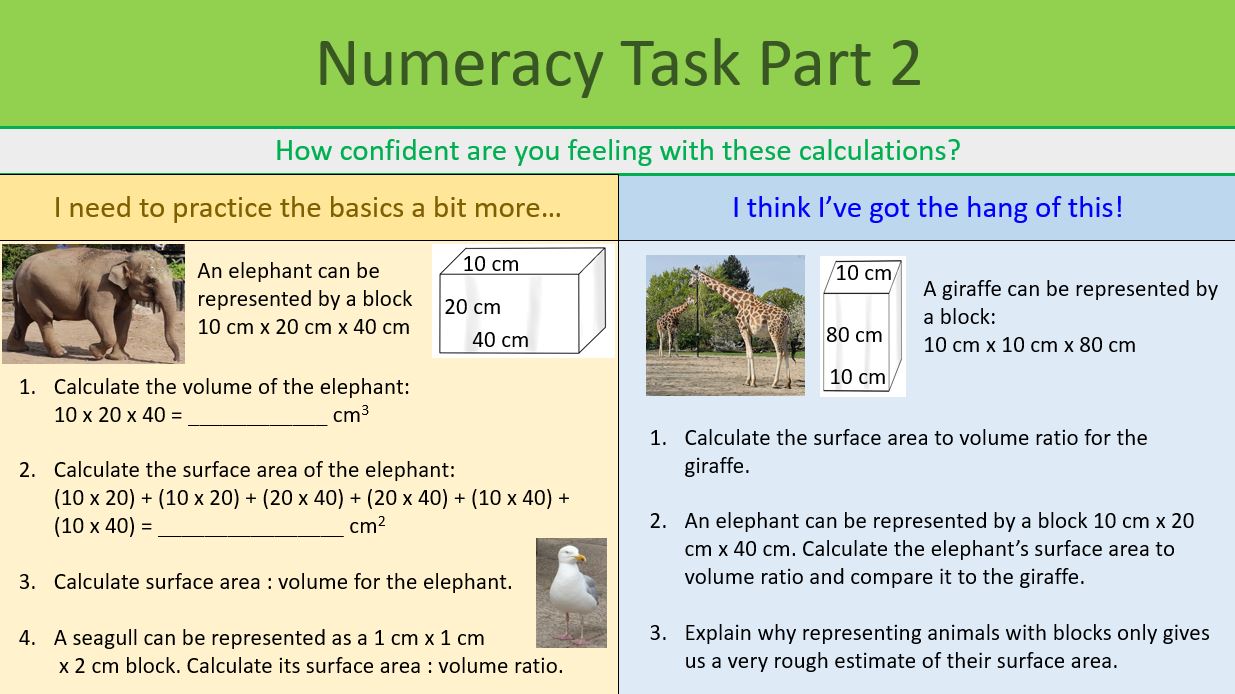 Exchanging Substances Lesson GCSE Biology | Teaching Resources