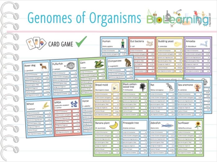 High school genetics and evolution resources