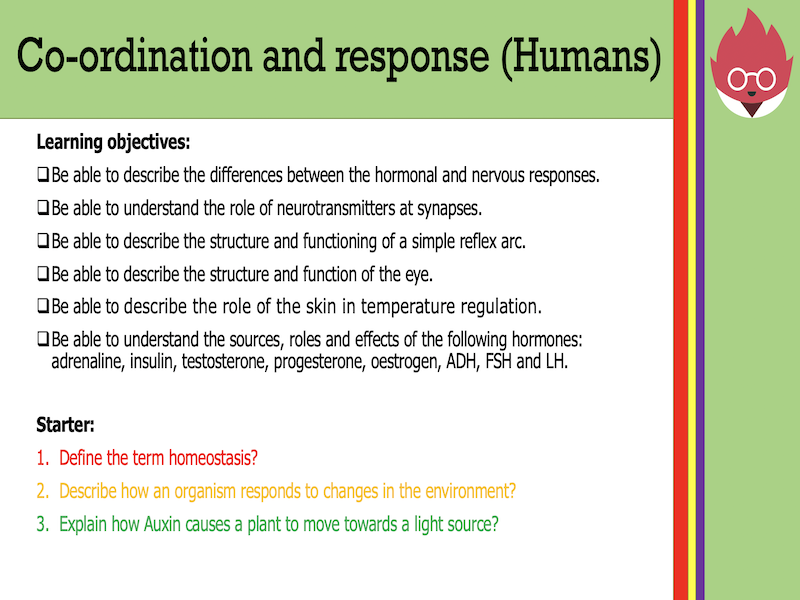 Igcse Edexcel Biology 9 1 Structure And Functions In Living Organisms