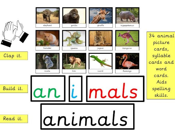Animal Syllables | Teaching Resources Animal Syllables | Teaching Resources
