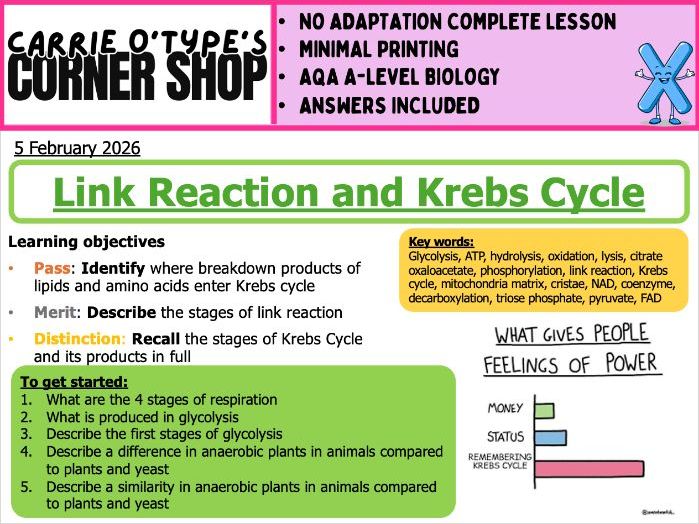 Link Reaction & Krebs Cycle - AQA A-Level Biology | Teaching Resources