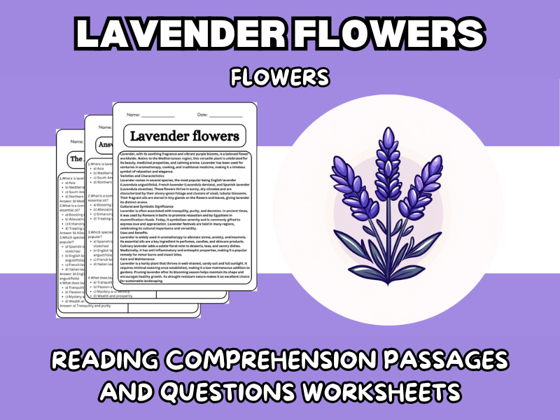 Lavender Flowers - Flowers Reading Comprehension Passages & Questions ...