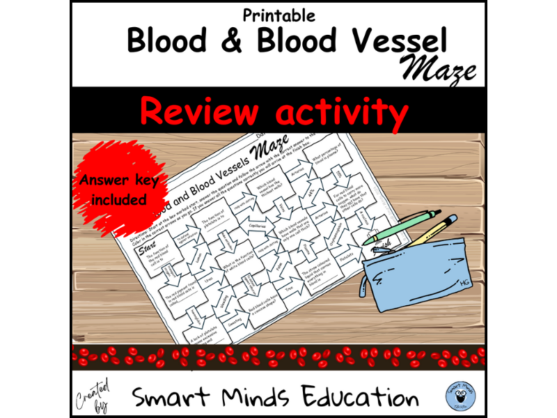 BLOOD AND BLOOD VESSEL REVIEW MAZE WORKSHEET *PRINTABLE* | Teaching ...