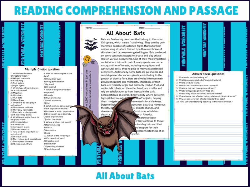 Exploring Bats: Engaging Reading Passage with Quiz Questions | Teaching ...