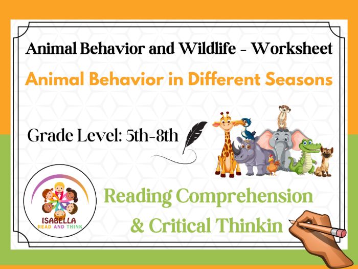 Animal Behavior in Different Seasons: Reading Comprehension Passages ...