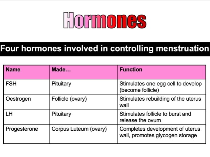 Menstrual Cycle | Teaching Resources