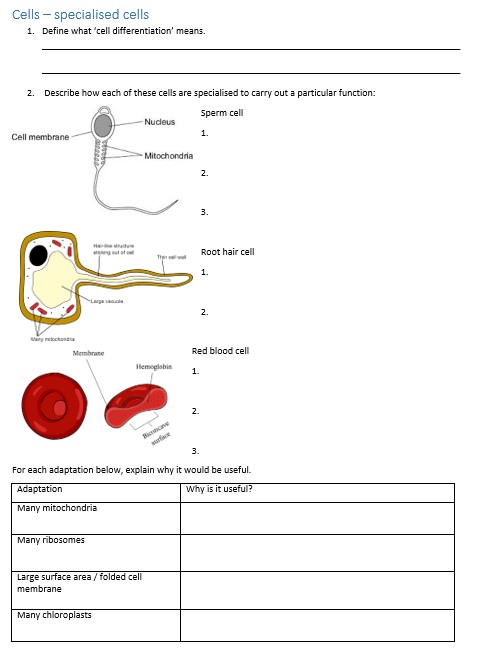 AQA combined science GCSE biology paper 1 revision booklet | Teaching ...